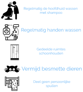Hoofdschimmel: symptomen, oorzaken en behandeling - Mens & Gezondheid