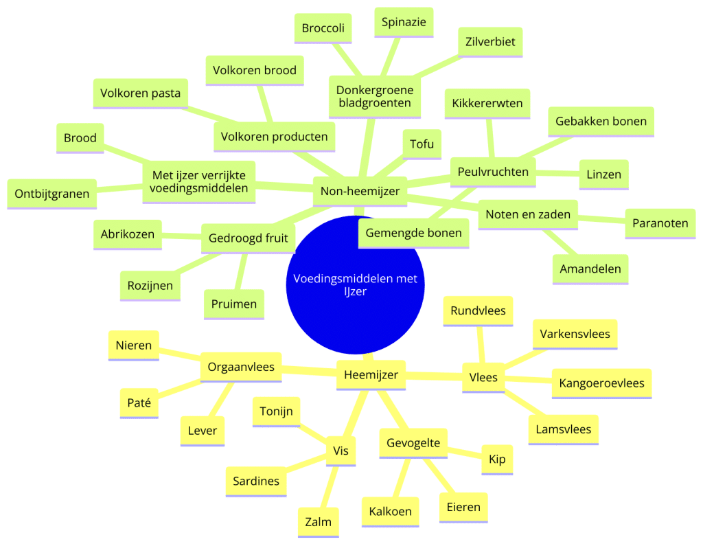 IJzertekort aanvullen met voeding: Tips voor een gezond ijzergehalte ...